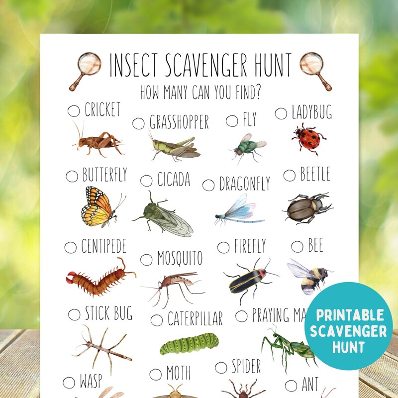 Insects and Bugs List - Etsy