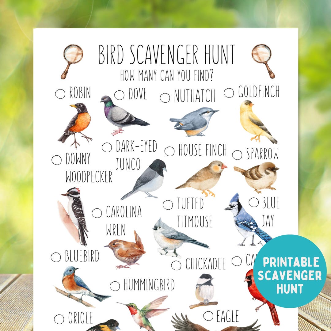 Summer Outdoor Scavenger Hunt List, Eastern US Bird Scavenger Hunt ...