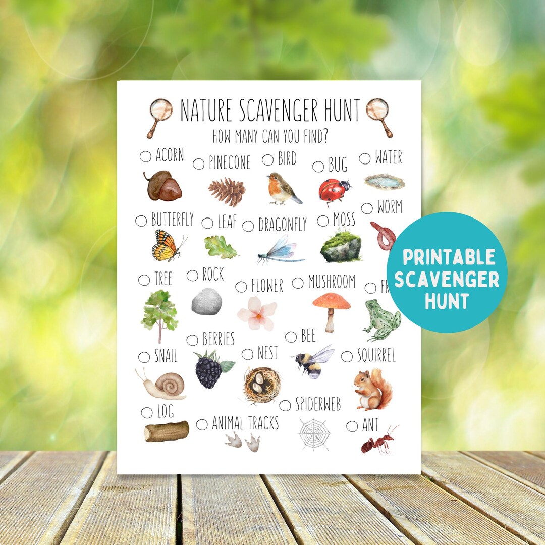 Woodland Scavenger Hunt, Summer Outdoor Scavenger Hunt List, Spring ...