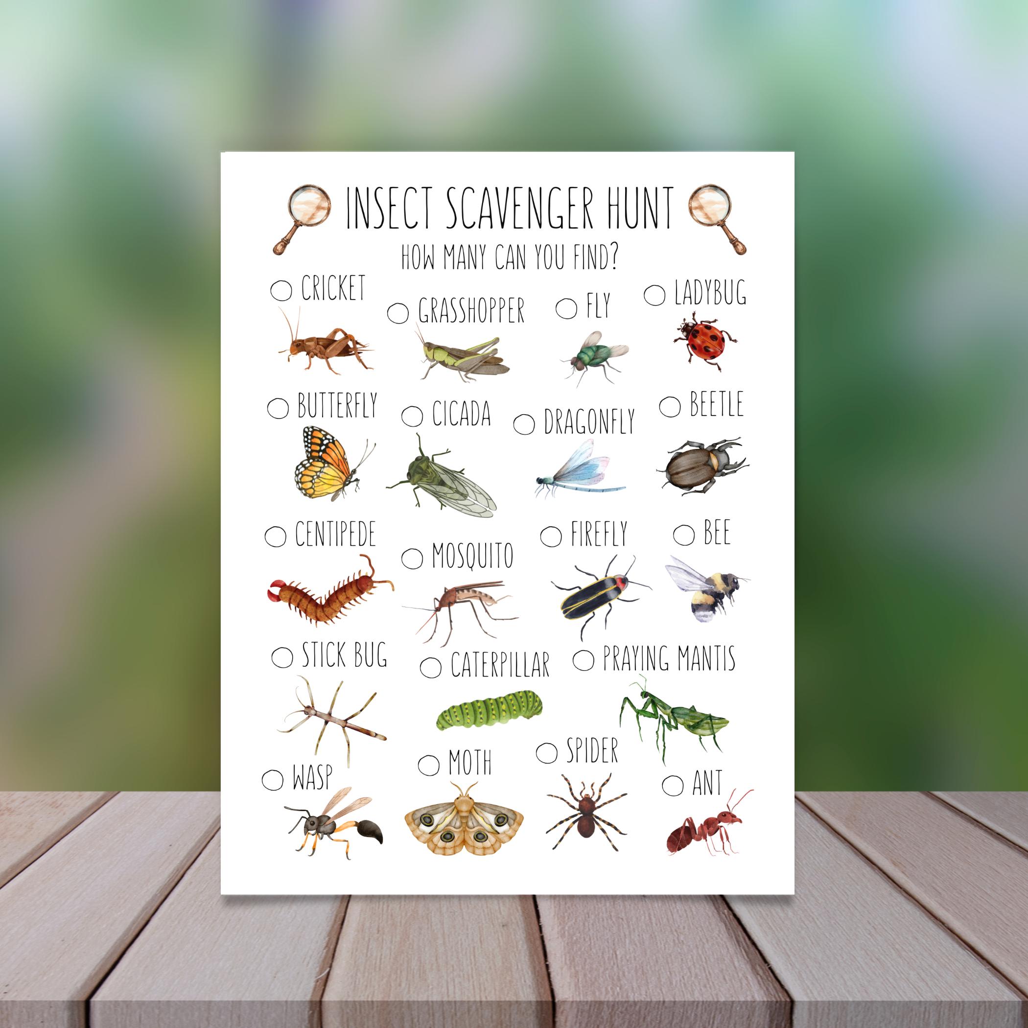 Insect Scavenger Hunt Kids, Outdoor Scavenger Hunt List, Summer Nature ...