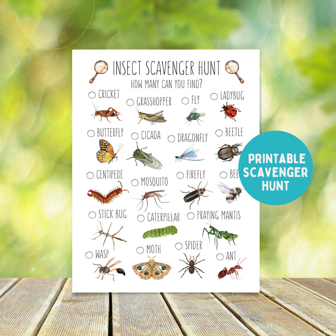 Insect Scavenger Hunt Kids, Nature Scavenger Hunt, Summer Outdoor ...