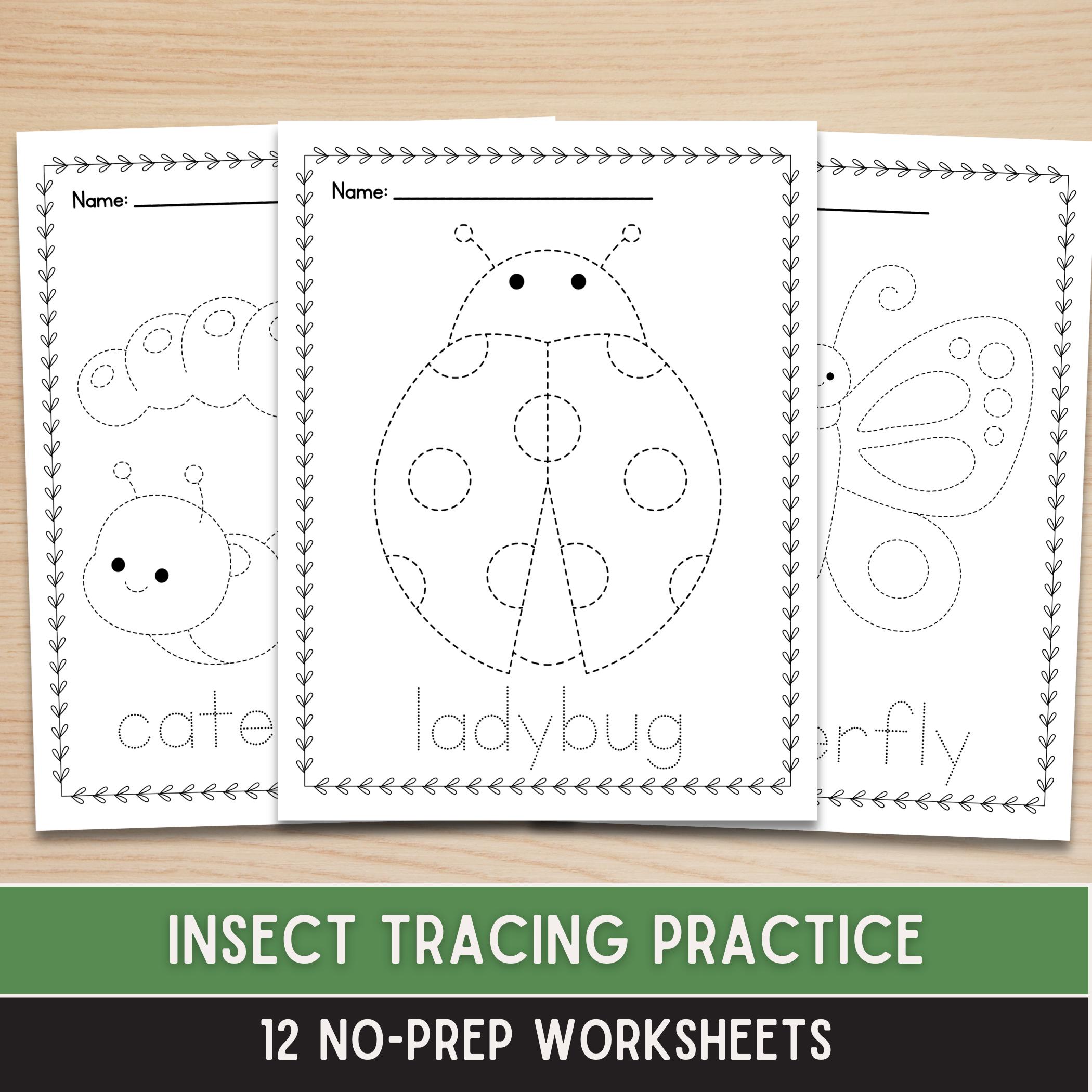 Insects Line Tracing Worksheet Bundle, Bug Themed Preschool Fine Motor ...