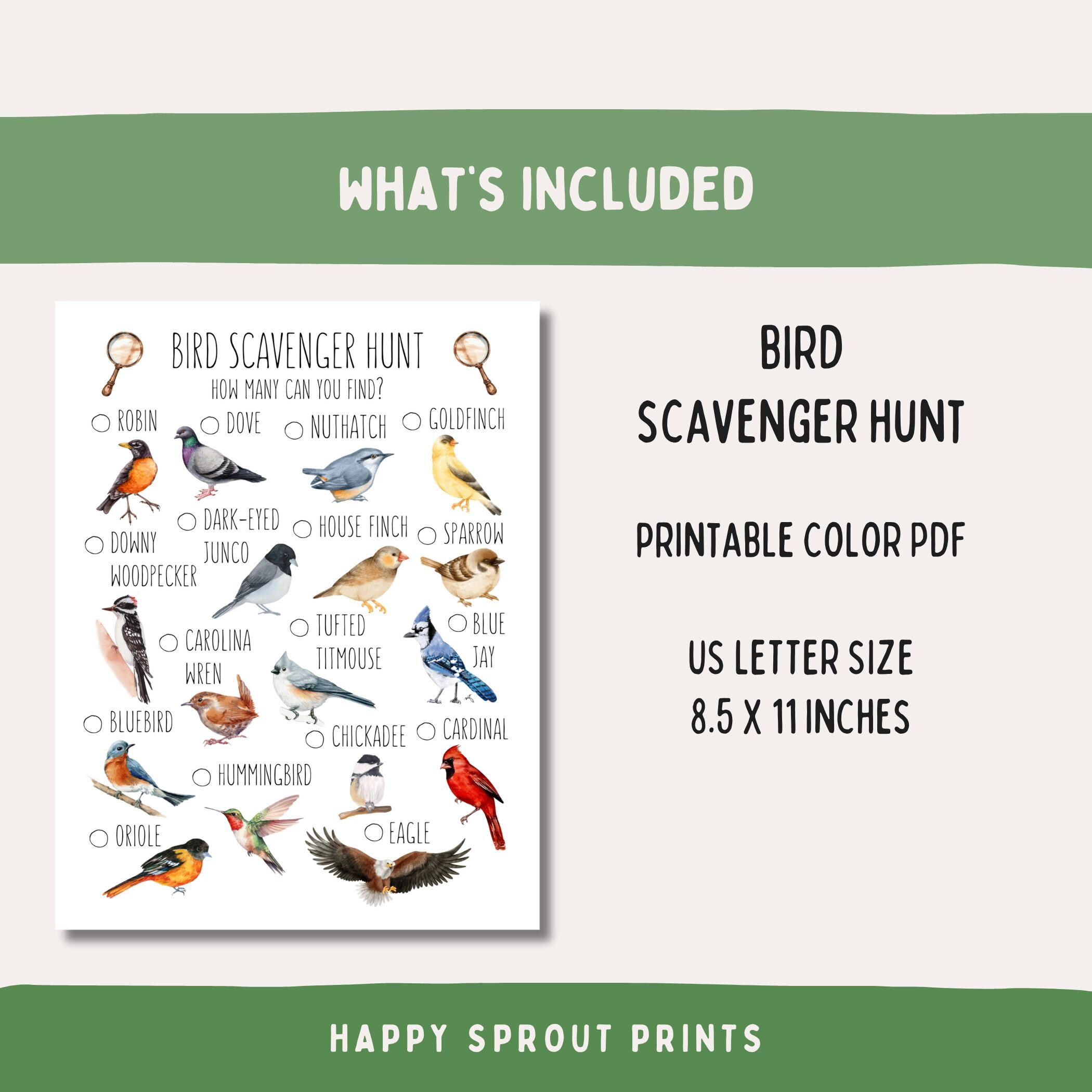 Summer Outdoor Scavenger Hunt List, Eastern US Bird Scavenger Hunt ...