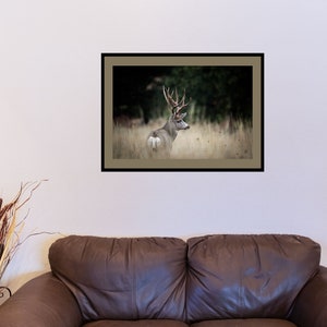 Mule Deer Buck Fine Art Print, Wildlife Photography, Yellowstone ...