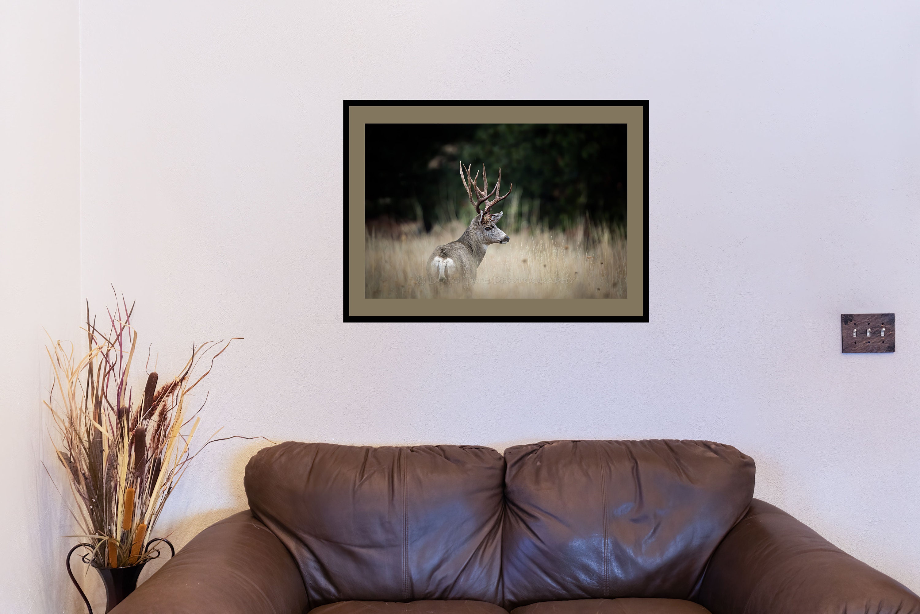 Mule Deer Buck Fine Art Print, Wildlife Photography, Yellowstone ...