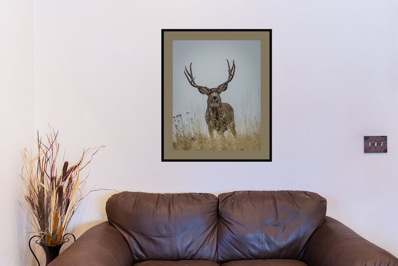 Mule Deer Buck / Mule Deer / Buck / Deer / Fine Art Print - Etsy