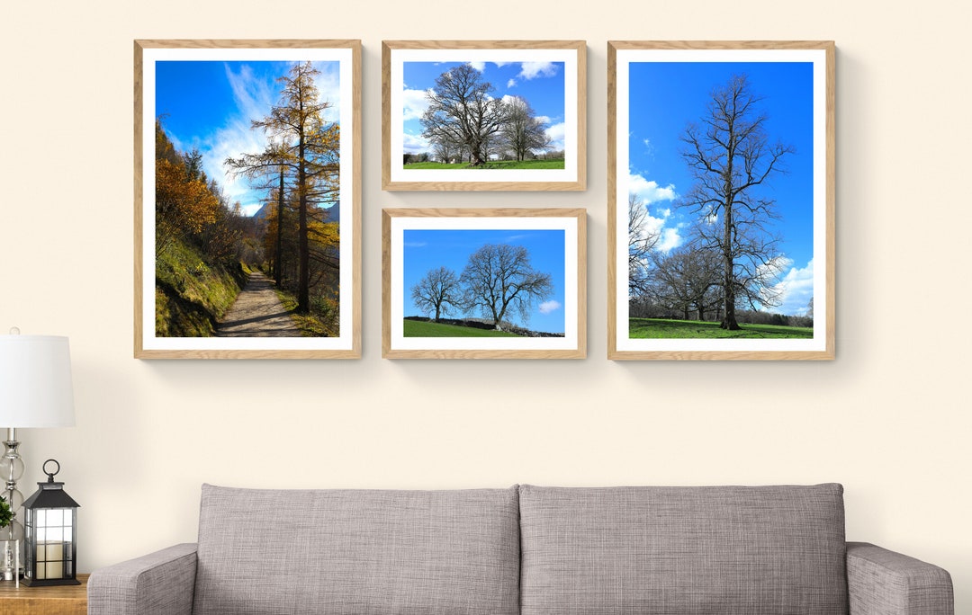 Wall Art Set of 4, Tree Photography Print, Tree Photography Set ...