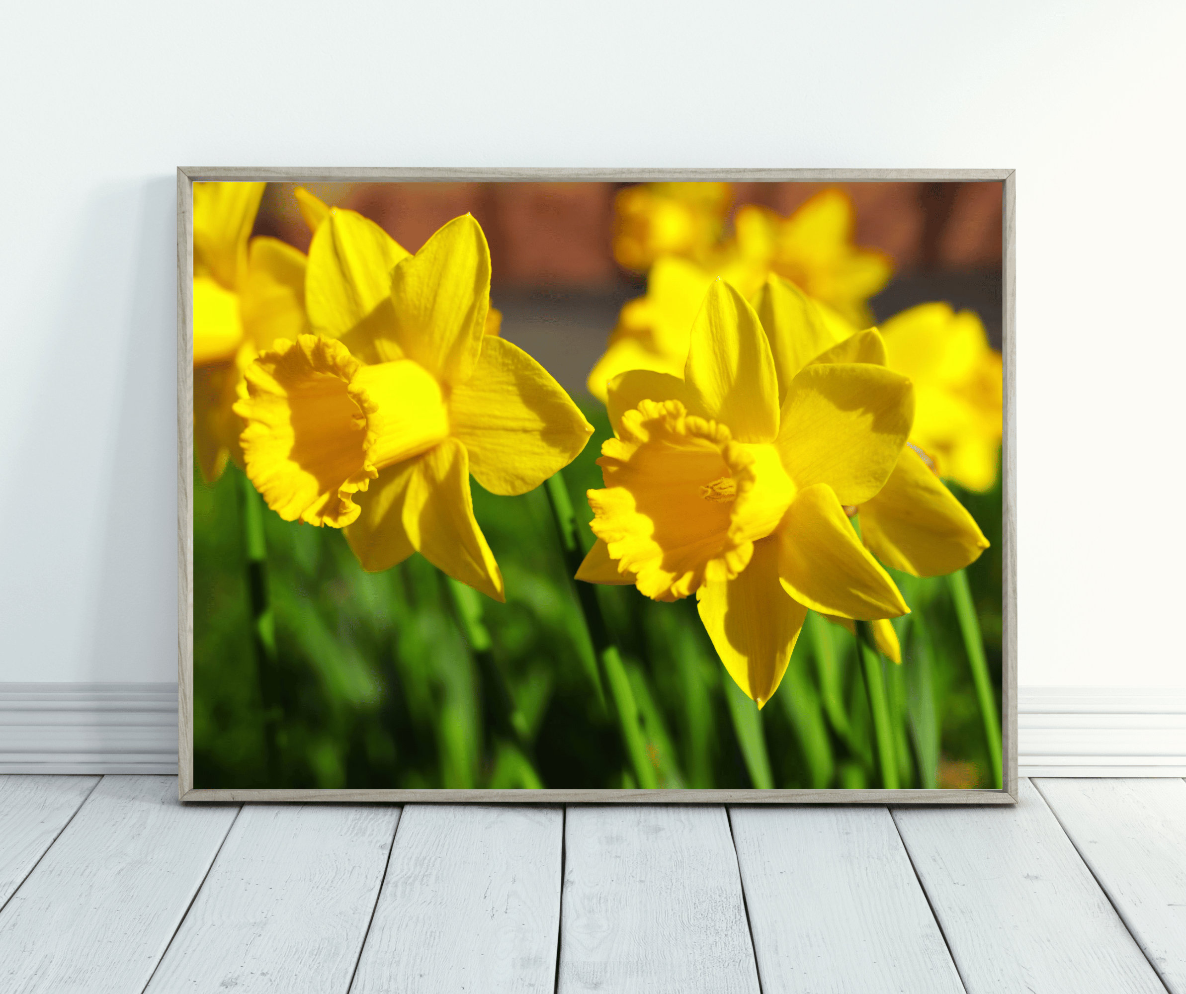 Daffodil Printable, Flower Photography Print, Yellow Flowers Print ...