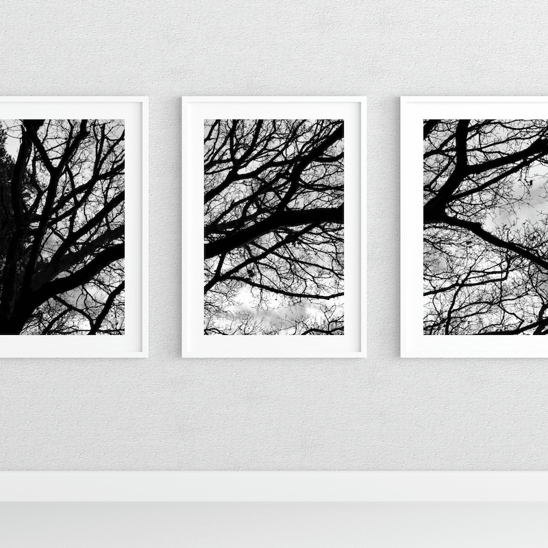Black and White Photography Set - Etsy