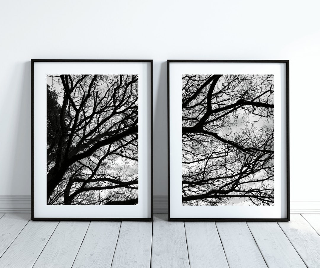 Black and White Photography Set, Black and White Photography Download ...