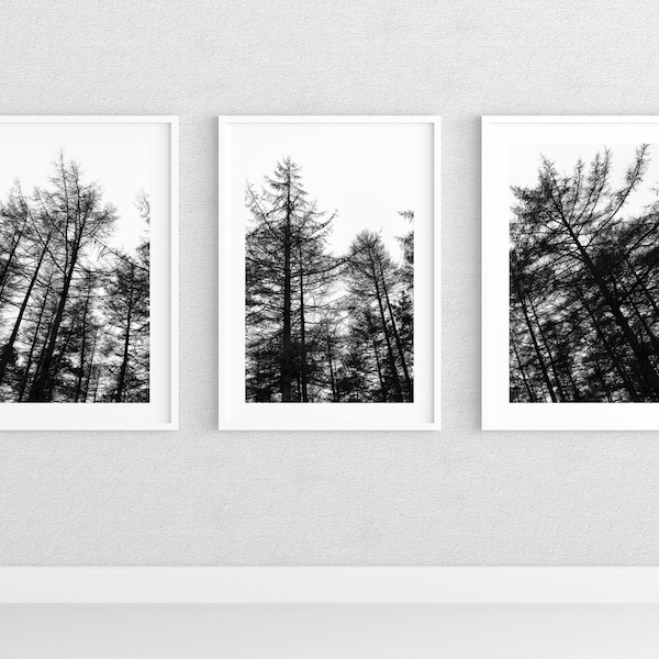 Tree Branch Black and White Wall Art - Etsy