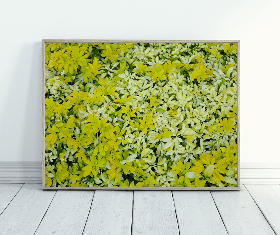 Green Leaves Prints, Leaves Printable Wall Art, Leaves Digital Art ...