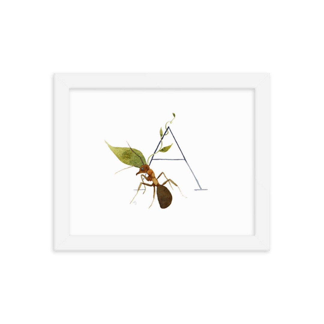 A is for Ant Framed Letter Poster Print - Etsy