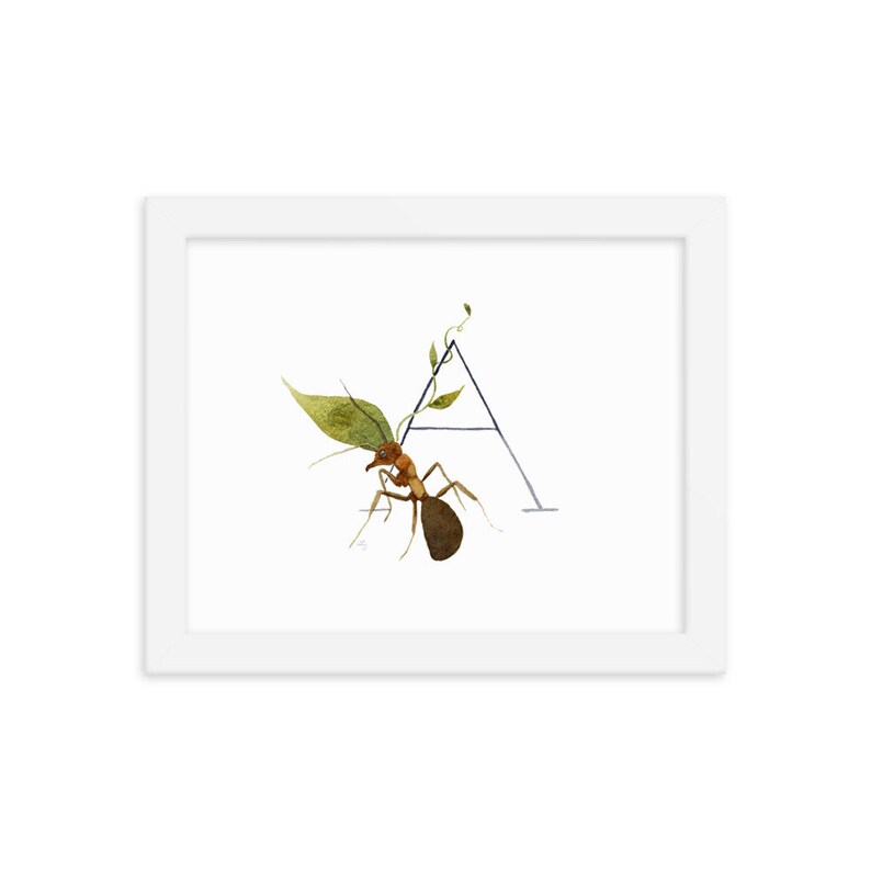 A is for Ant Framed Letter Poster Print - Etsy