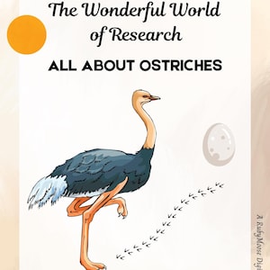 The Wonderful World of Research: Ostrich Edition, All About Ostriches ...