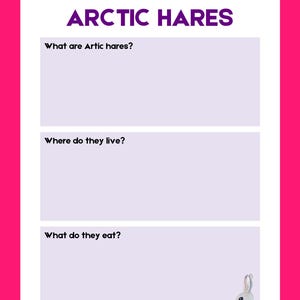 The Wonderful World of Research: Arctic Hare Edition, All About the ...