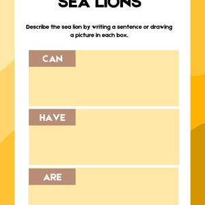 The Wonderful World of Research: Sea Lion Edition, All About Sea Lions ...