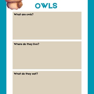 The Wonderful World of Research: Owl Edition, All About Owls, Owl ...