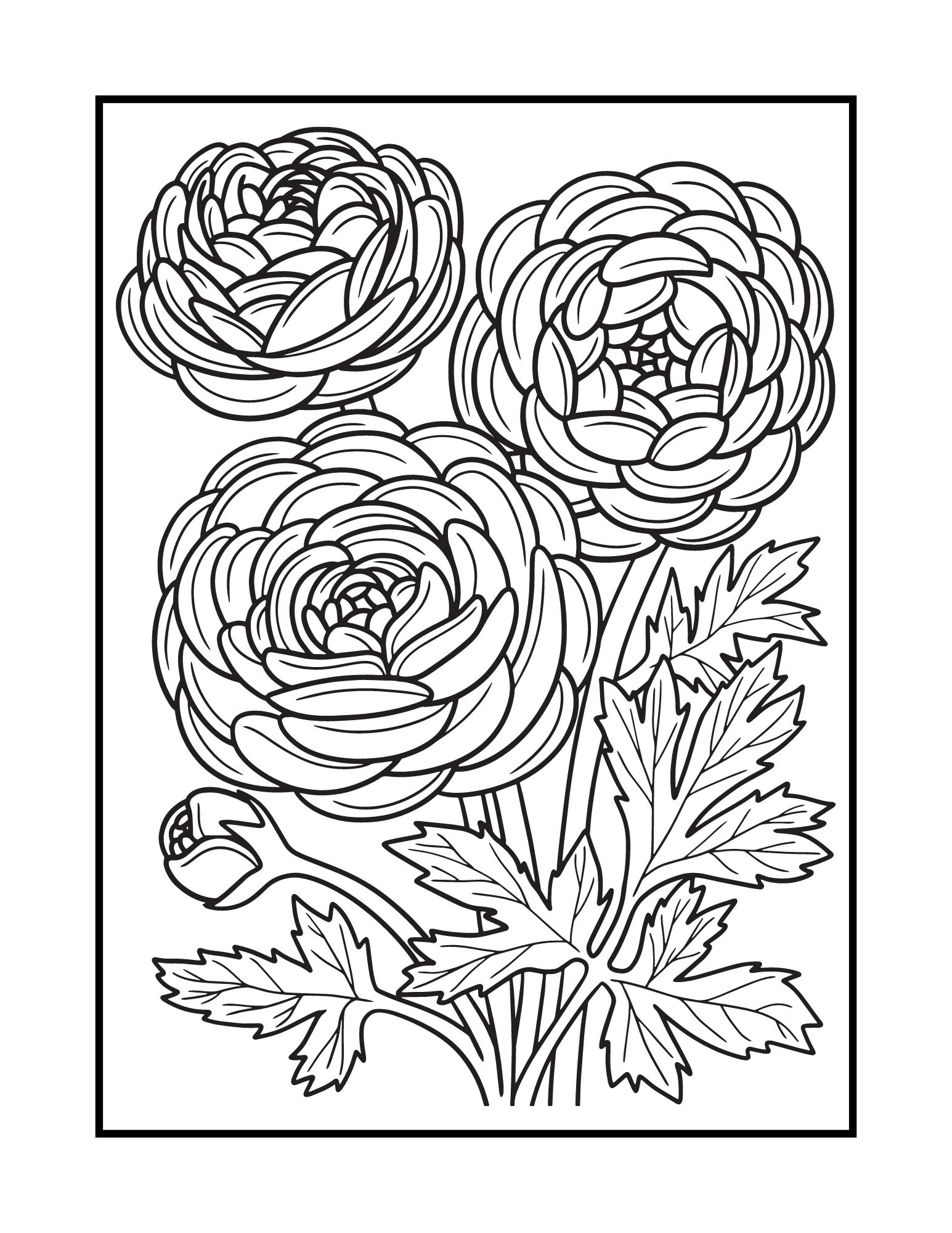 Fancy Flowers 24 Coloring Pages Plus/flowers to Color/beautiful Flowers ...