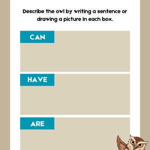 The Wonderful World of Research: Owl Edition, All About Owls, Owl ...