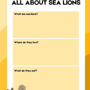 The Wonderful World of Research: Sea Lion Edition, All About Sea Lions ...