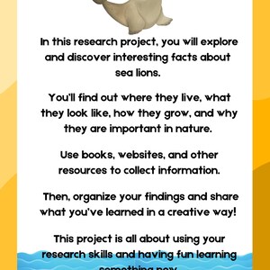 The Wonderful World of Research: Sea Lion Edition, All About Sea Lions ...