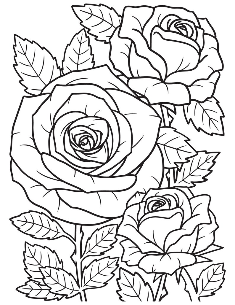 Fancy Flowers 24 Coloring Pages Plus/flowers to Color/beautiful Flowers ...