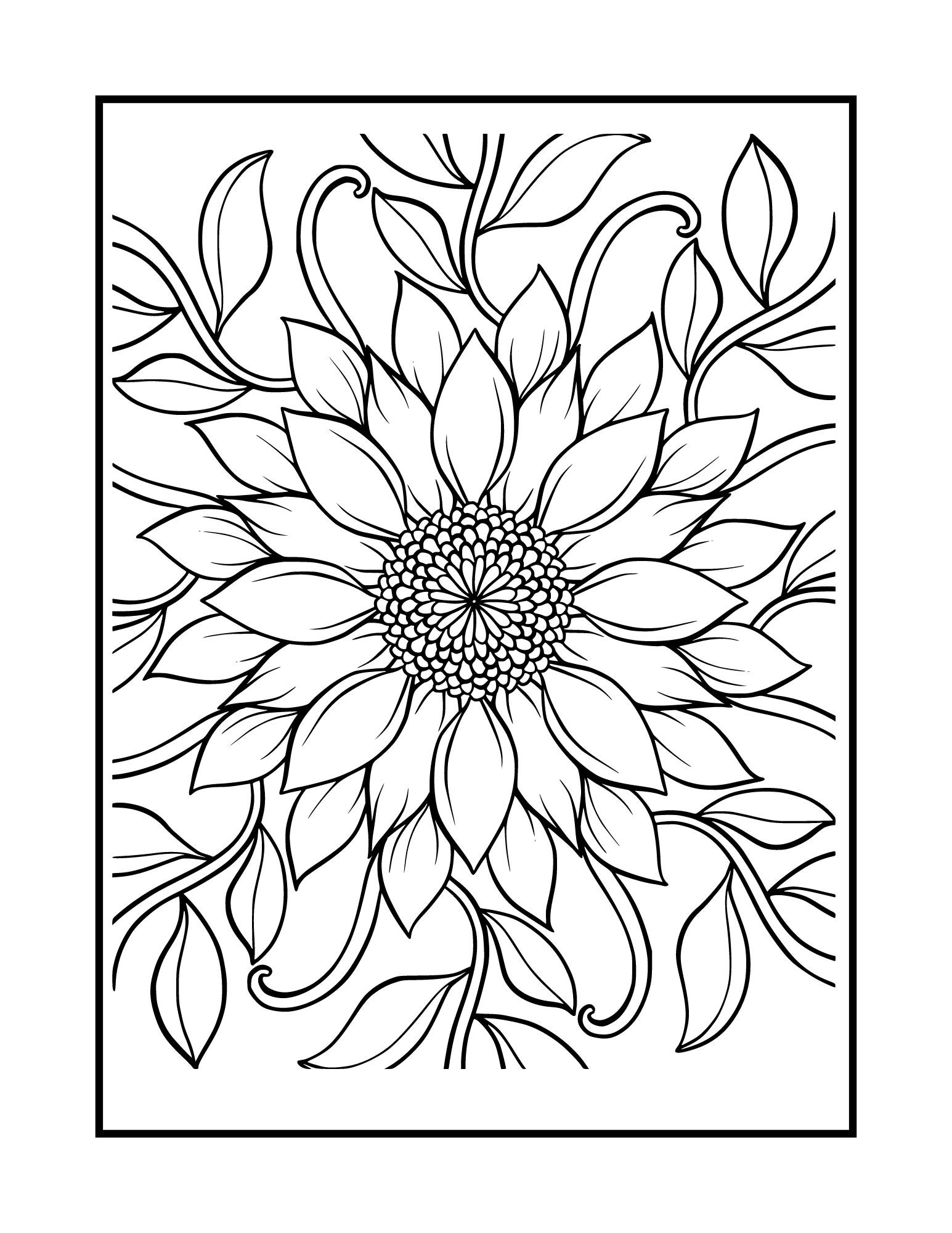 Fancy Flowers 24 Coloring Pages Plus/flowers to Color/beautiful Flowers ...