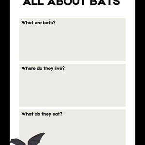 The Wonderful World of Research: Bats Edition, All About Bats, Bats ...