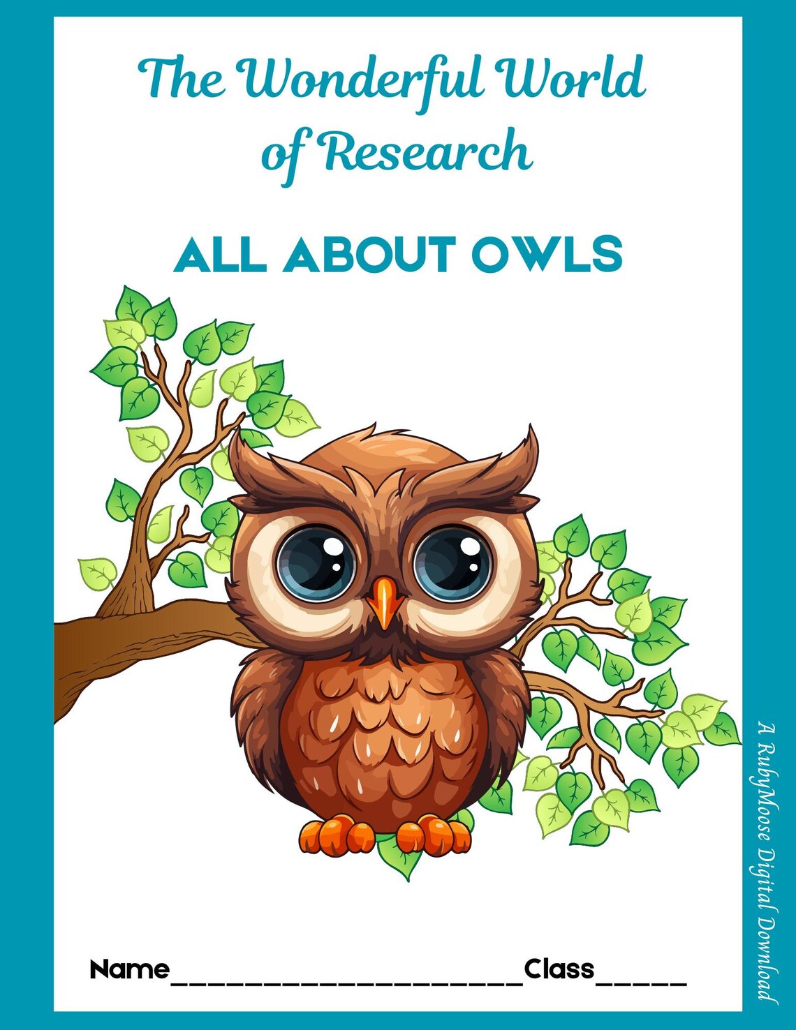 The Wonderful World of Research: Owl Edition, All About Owls, Owl ...