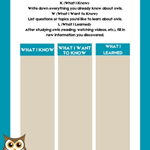 The Wonderful World of Research: Owl Edition, All About Owls, Owl ...