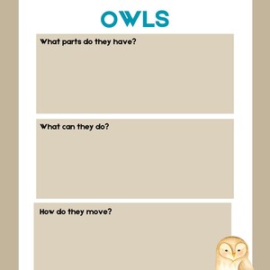 The Wonderful World of Research: Owl Edition, All About Owls, Owl ...