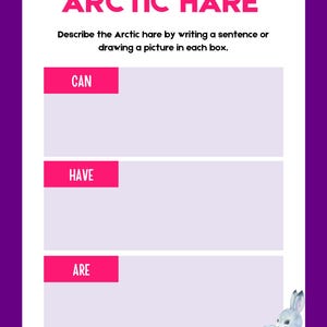 The Wonderful World of Research: Arctic Hare Edition, All About the ...