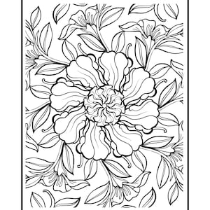 Fancy Flowers 24 Coloring Pages Plus/flowers to Color/beautiful Flowers ...