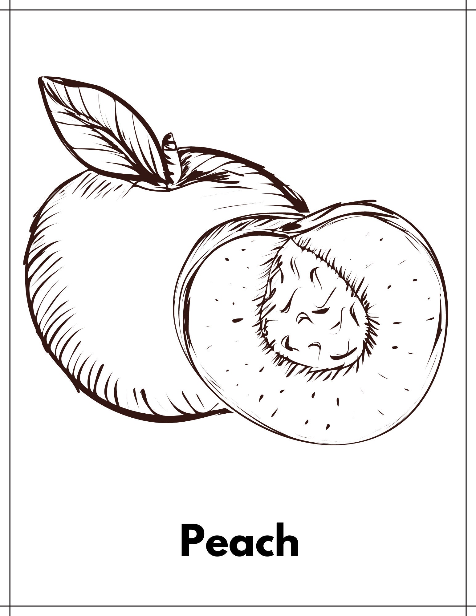 Fruit Salad, 15 Coloring Pages Plus/fruits to Color/fruit Salad/summer ...