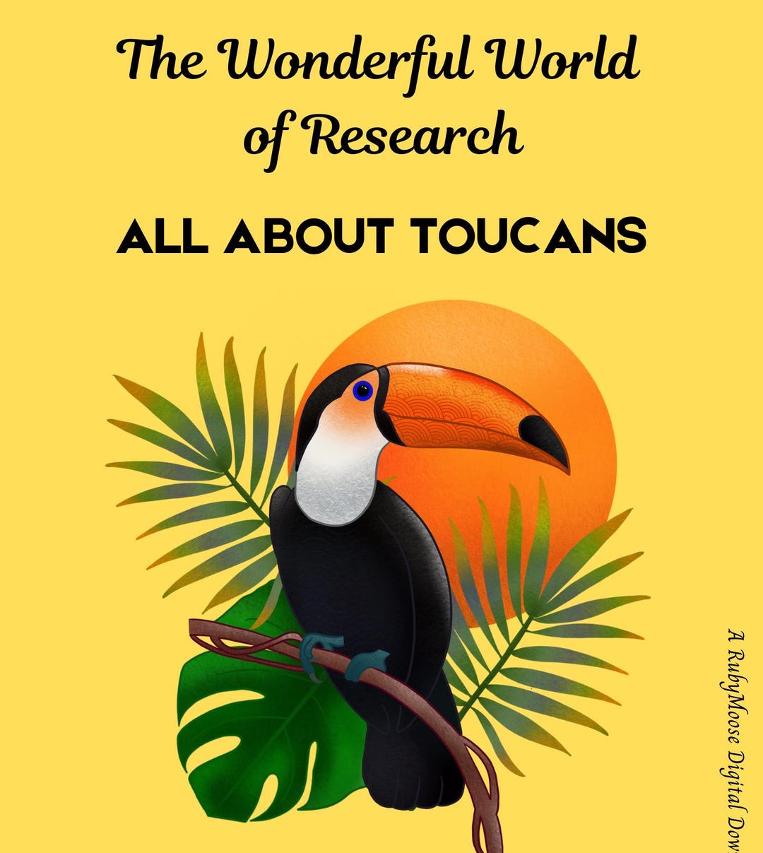 The Wonderful World of Research: Toucan Edition, All About Toucans ...