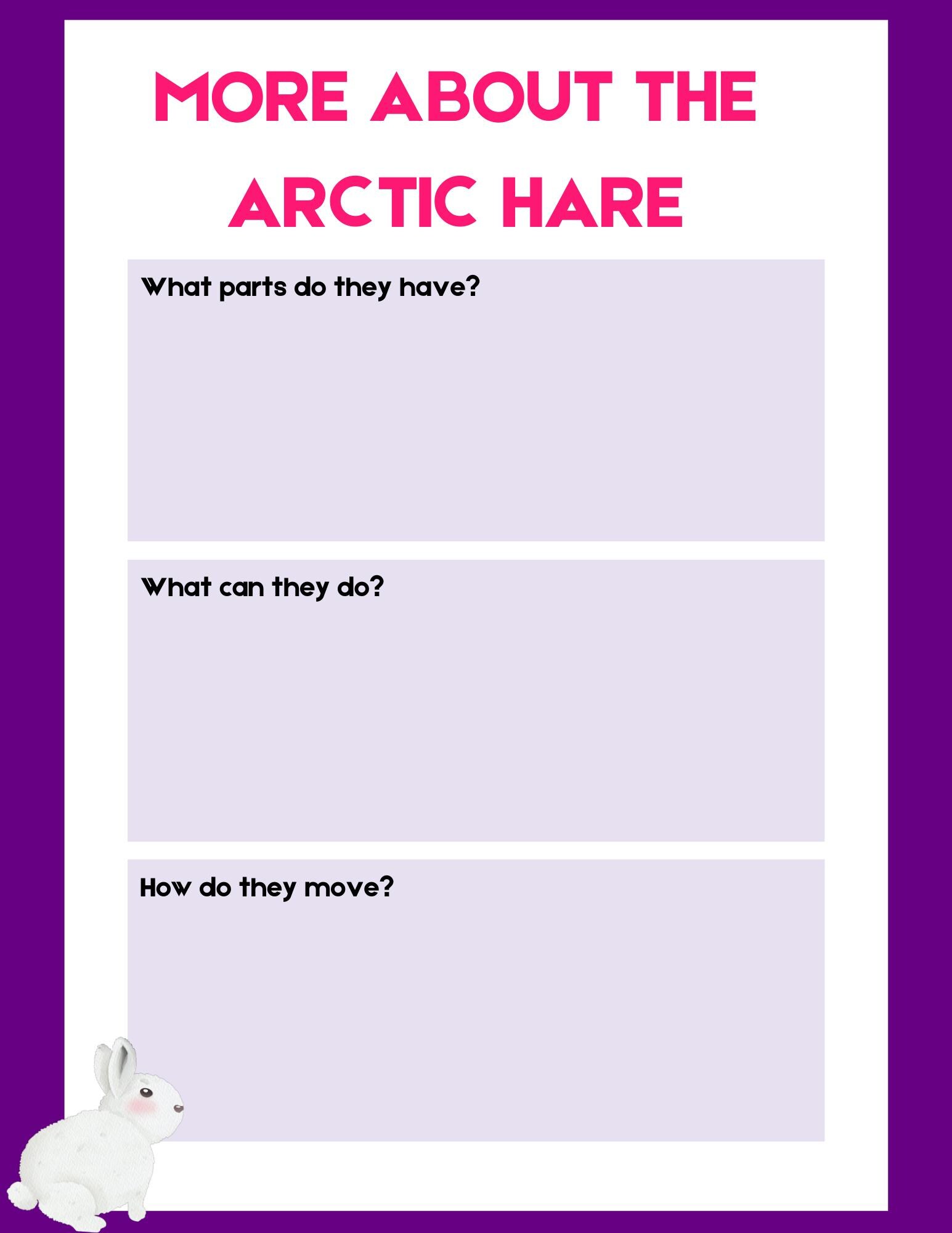 The Wonderful World of Research: Arctic Hare Edition, All About the ...