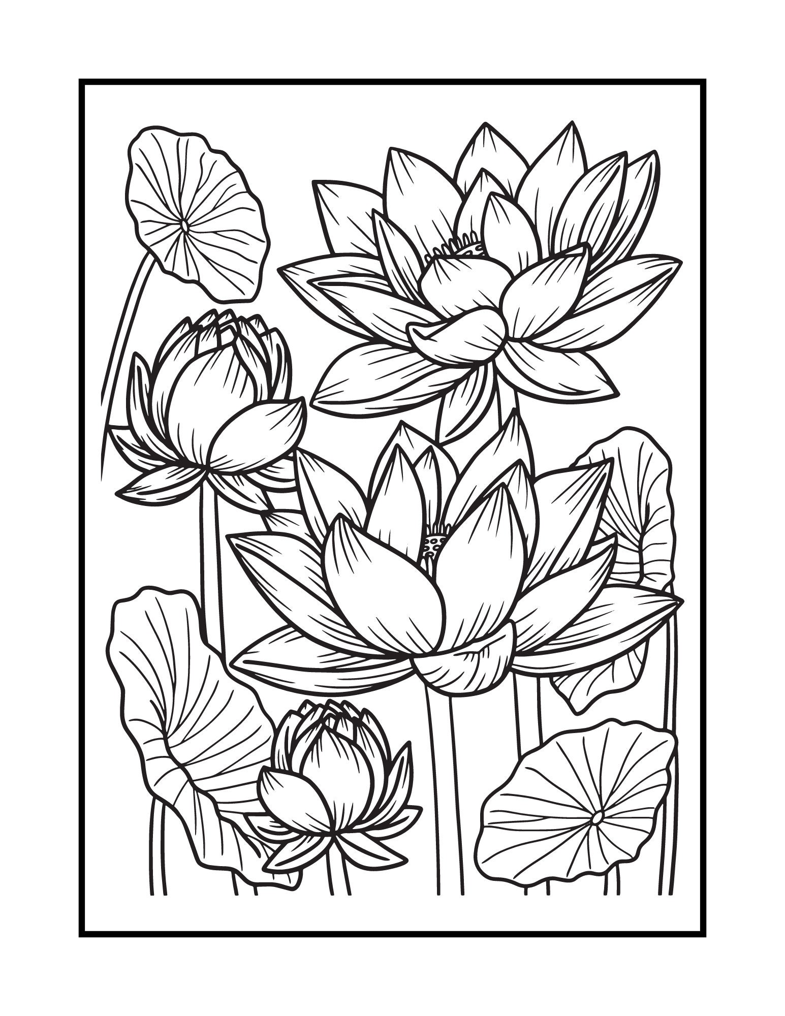 Fancy Flowers 24 Coloring Pages Plus/flowers to Color/beautiful Flowers ...