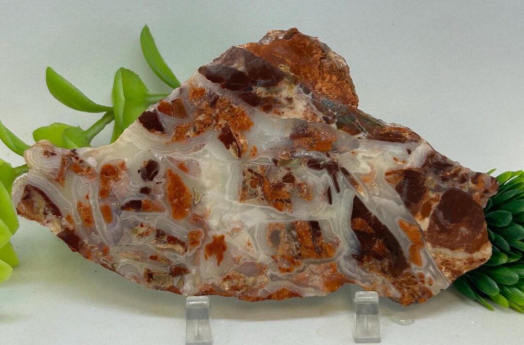 Youngite Agate Slab, Lapidary Rough, Fluorescent Cave Agate - Etsy