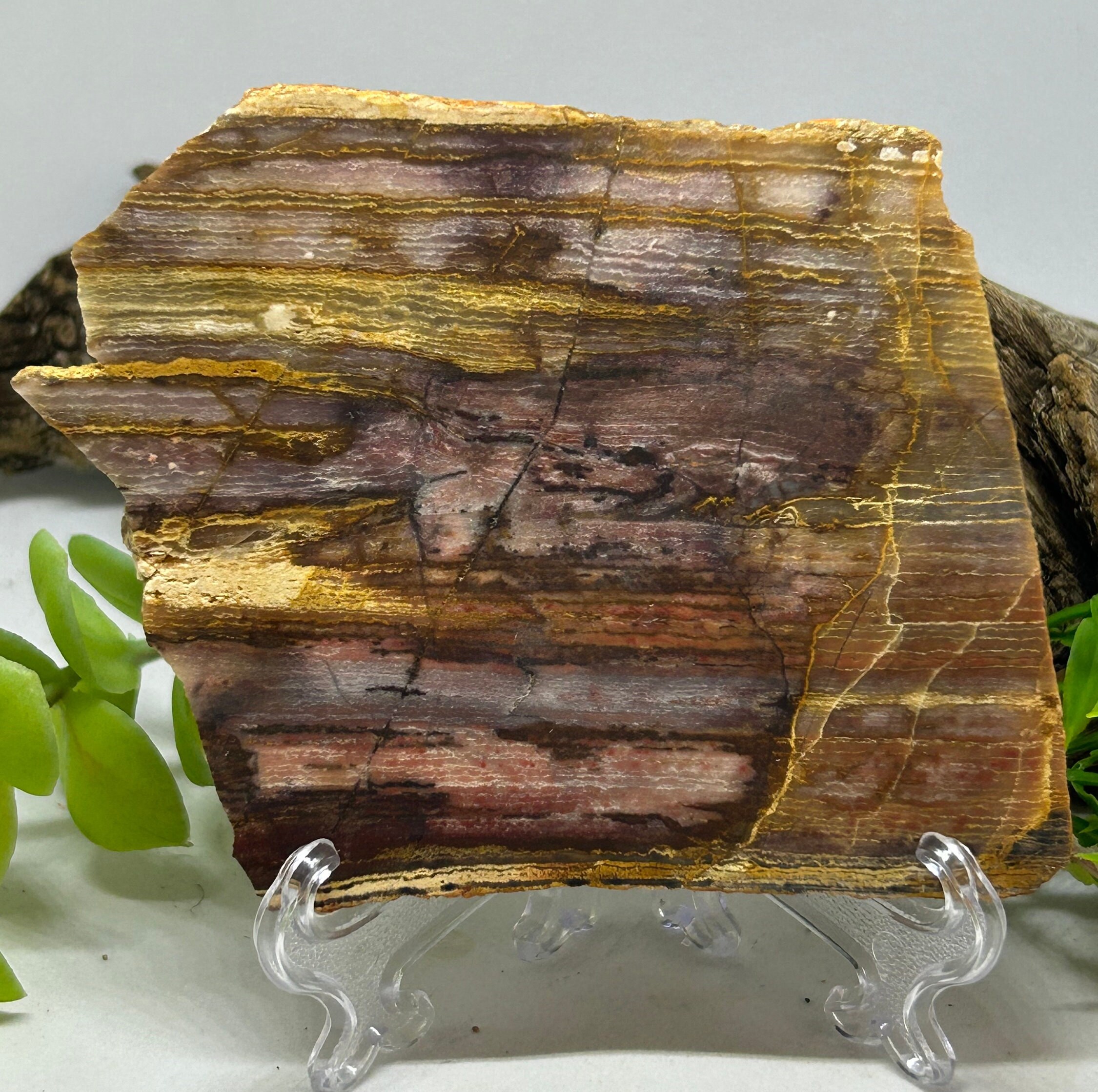 Australian Outback Jasper Slab - Etsy