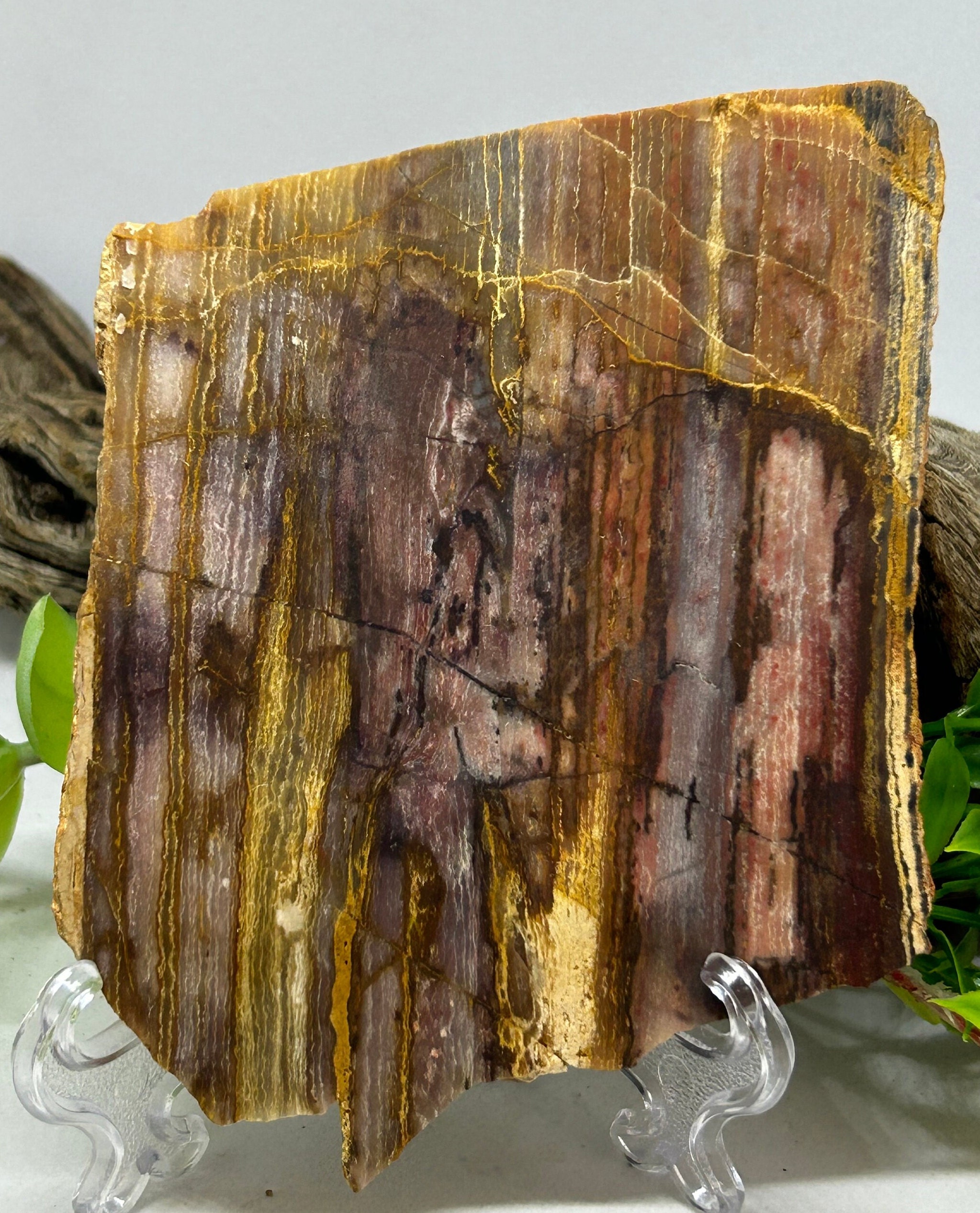 Australian Outback Jasper Slab - Etsy