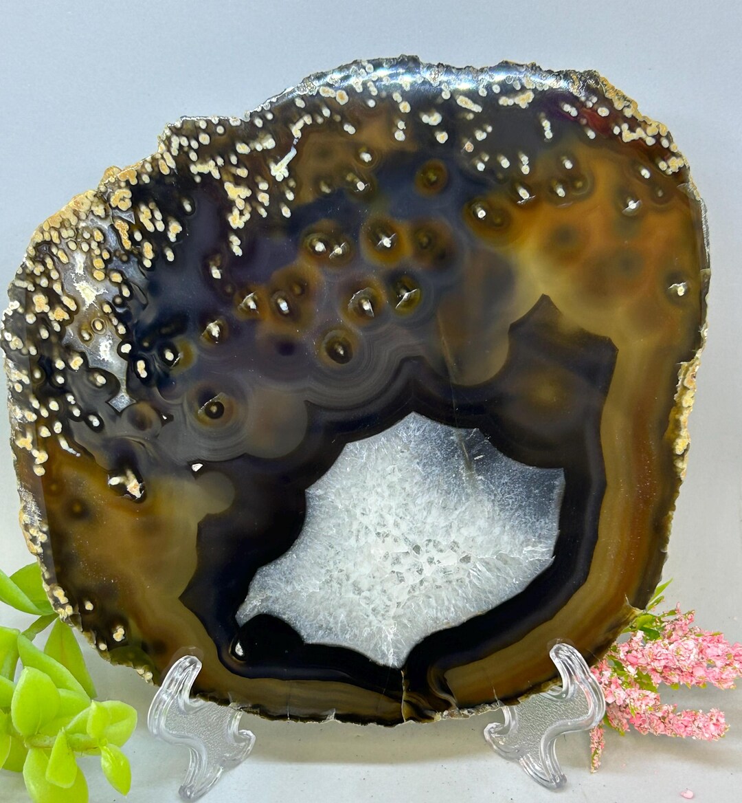 Polished Agate Slab, Brazilian Agate, Polished Agate Display Specimen ...