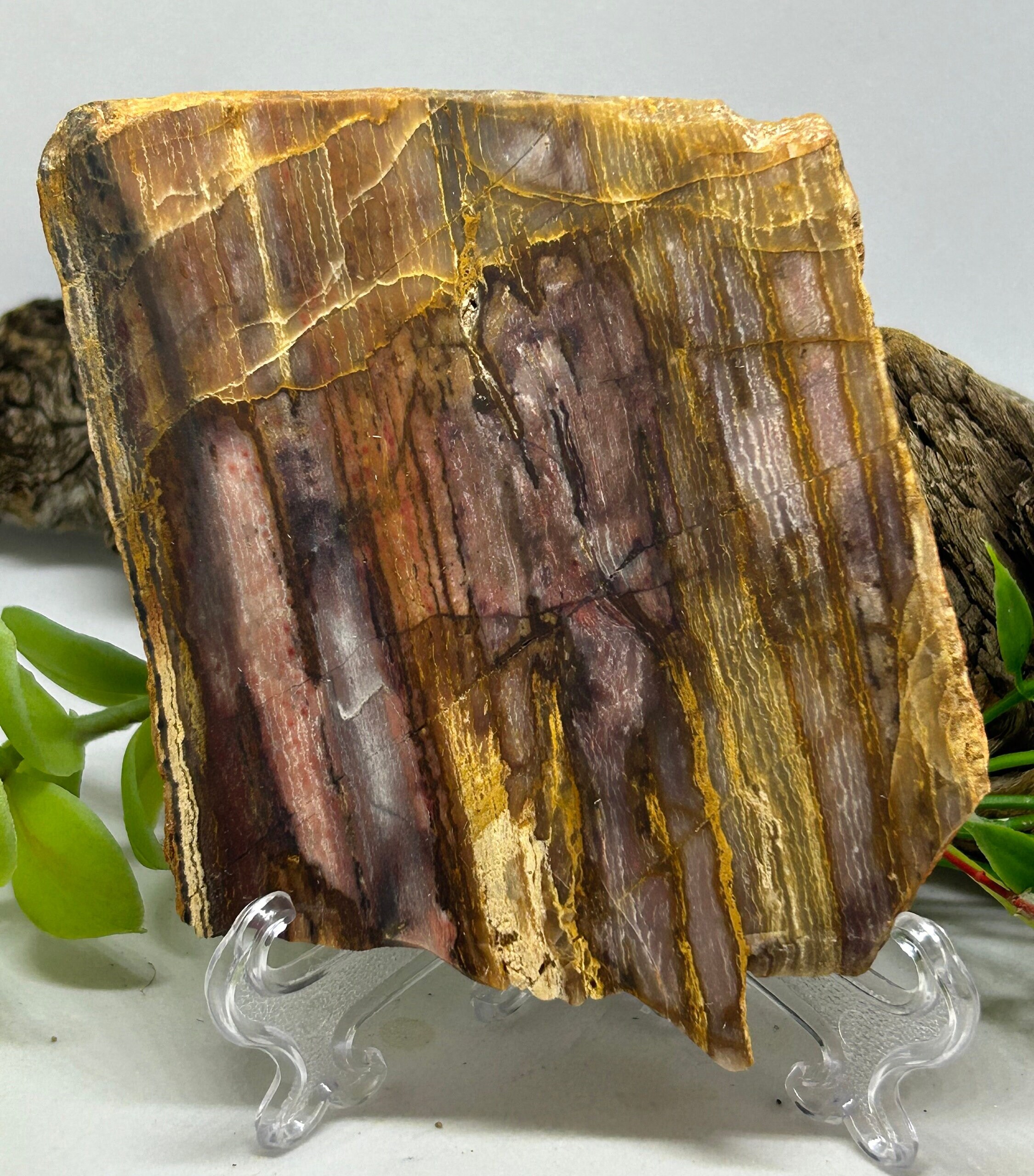 Australian Outback Jasper Slab - Etsy