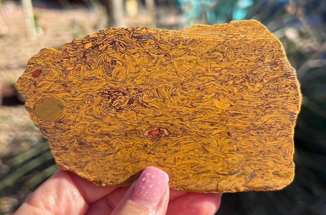 Miriam Stone, Arabic Script Jasper, Elephant Skin Jasper, Calligraphy ...