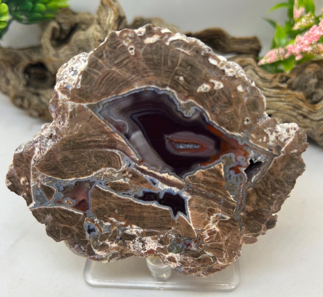 Polished Baker Thunderegg, Baker Ranch Agate, Stand Included - Etsy