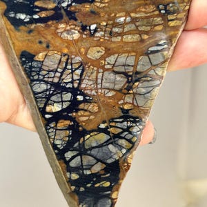 Picasso Marble Slab, Lapidary Rough - Etsy