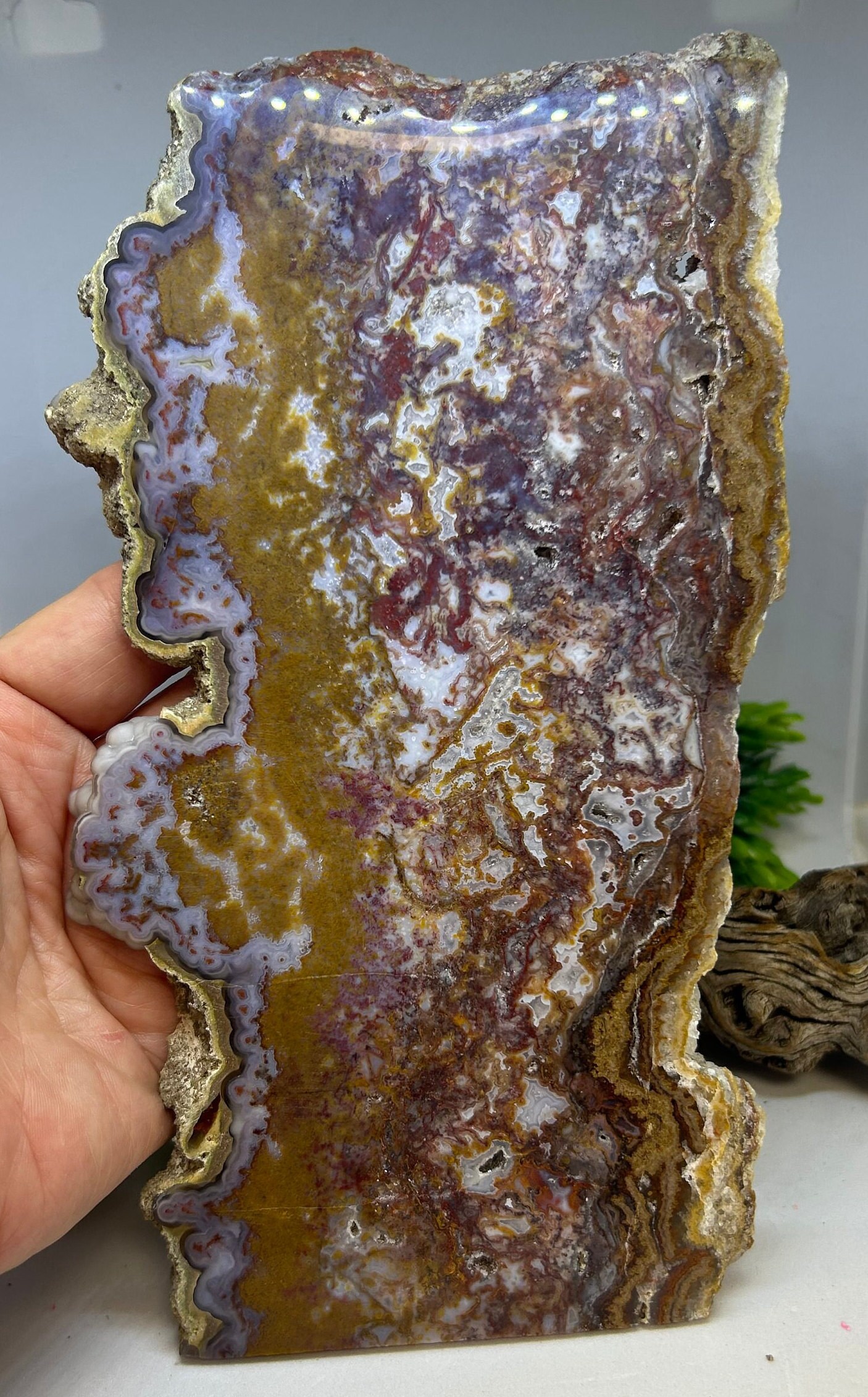 Polished Cathedral Agate Slab, Polished Agate Display Specimen - Etsy
