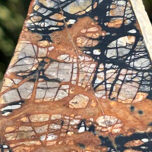 Picasso Marble Slab, Lapidary Rough - Etsy