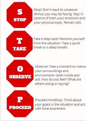 DBT STOP Skill Cheat Sheet - Etsy New Zealand