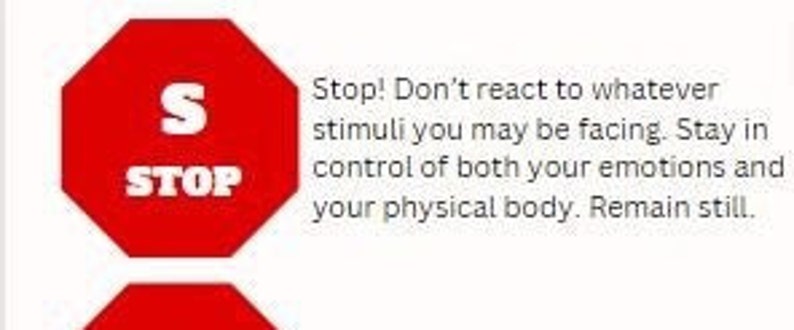 DBT STOP Skill Cheat Sheet - Etsy